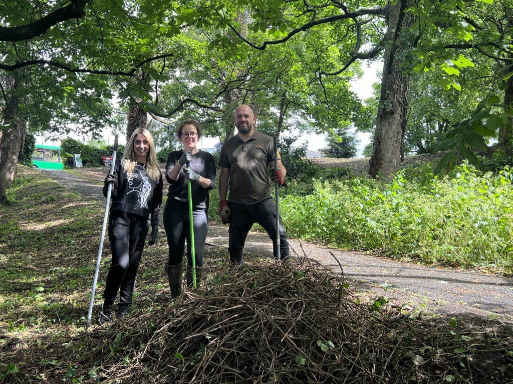 HMRC Volunteers Support Green Maghull's Centre Restoration: can you ...